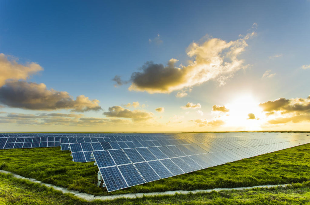 Parque de energia solar em Pereira Barreto deve ter um investimento de ... Parque de energia solar em Pereira Barreto deve ter um investimento de ...
